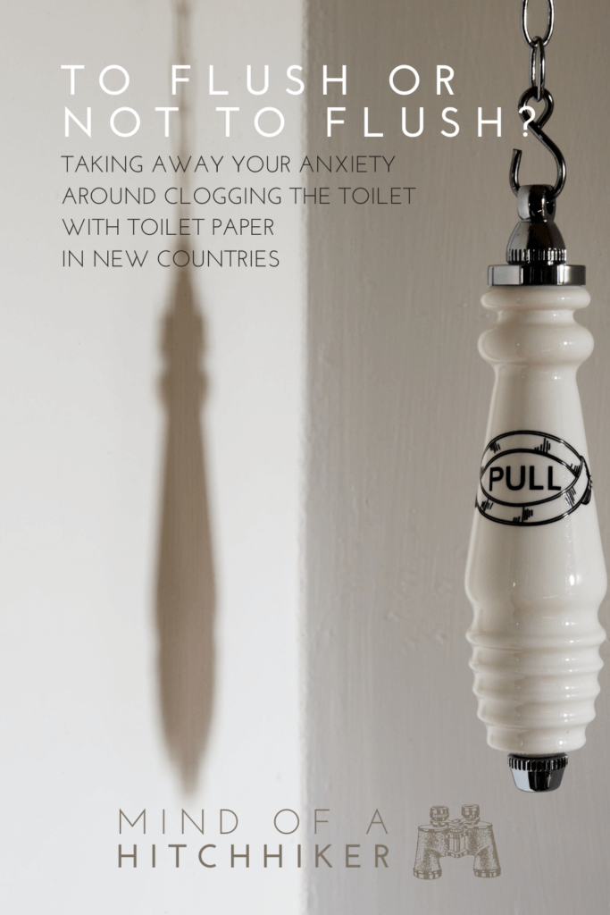 Should You Flush the Toilet Paper? A Flowchart • Mind of a Hitchhiker