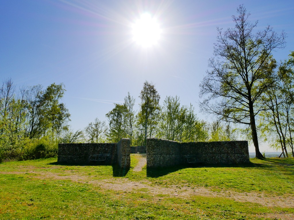 Maastricht: Wholesome Activities in Spring, Summer, Autumn, and Winter ...