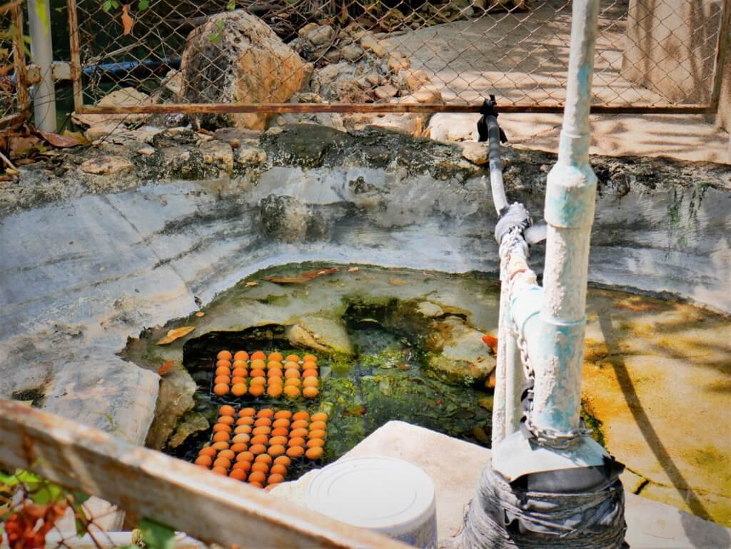 Ranong by Scooter: Hot Springs, National Parks, Mangroves, Canyons, and ...