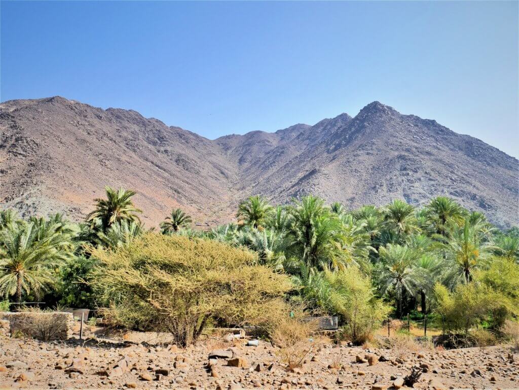 Madha and Nahwa Exclaves in Oman + UAE—Traveling Through the Donut Hole ...