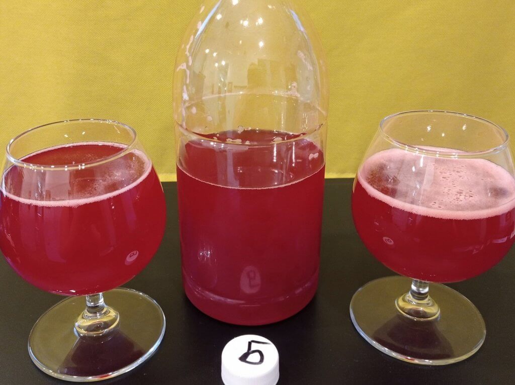 (Craft) Beer in Uzbekistan Guide—Tashkent, Mostly • Mind of a Hitchhiker