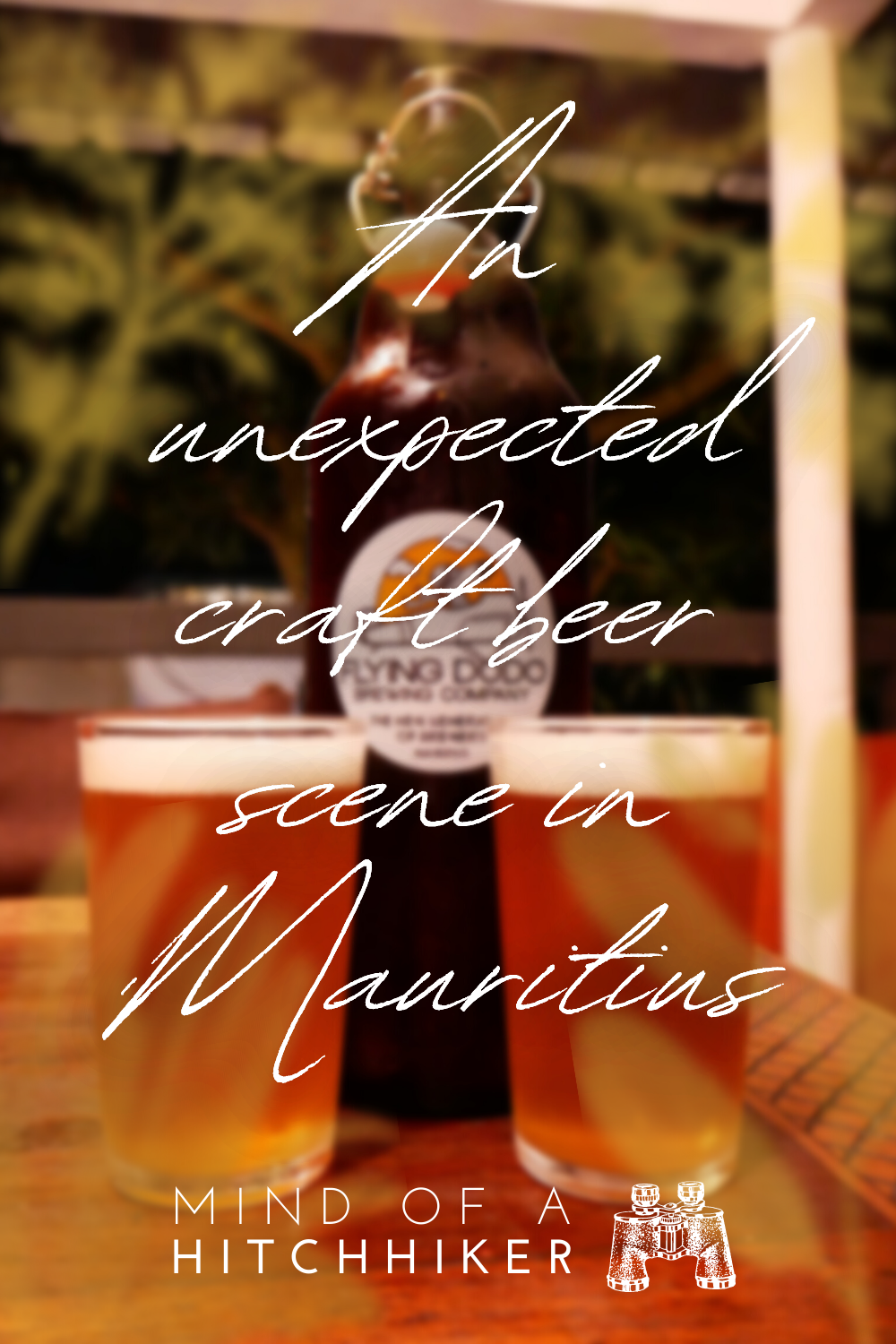 (Craft) Beer in Mauritius Guide—What a Lovely Surprise! • Mind of a ...