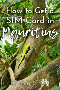 How to Get a SIM Card in Mauritius • Mind of a Hitchhiker
