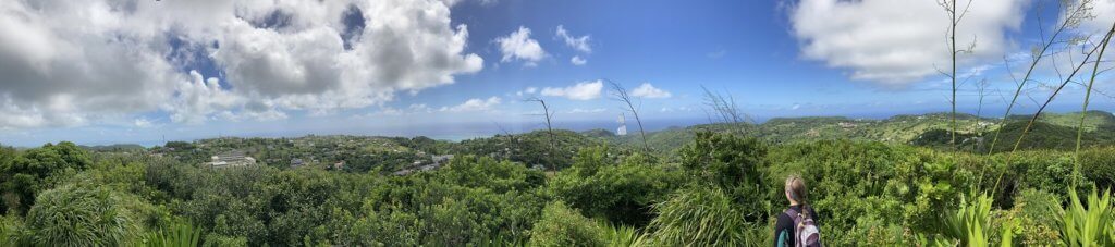 Strolling up Mont Limon, the Highest Peak of Rodrigues • Mind of a ...