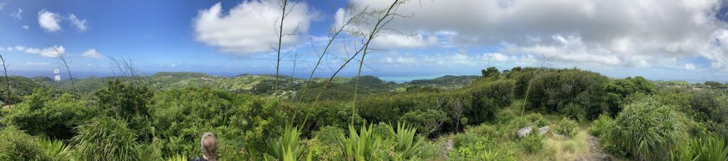 Strolling up Mont Limon, the Highest Peak of Rodrigues • Mind of a ...