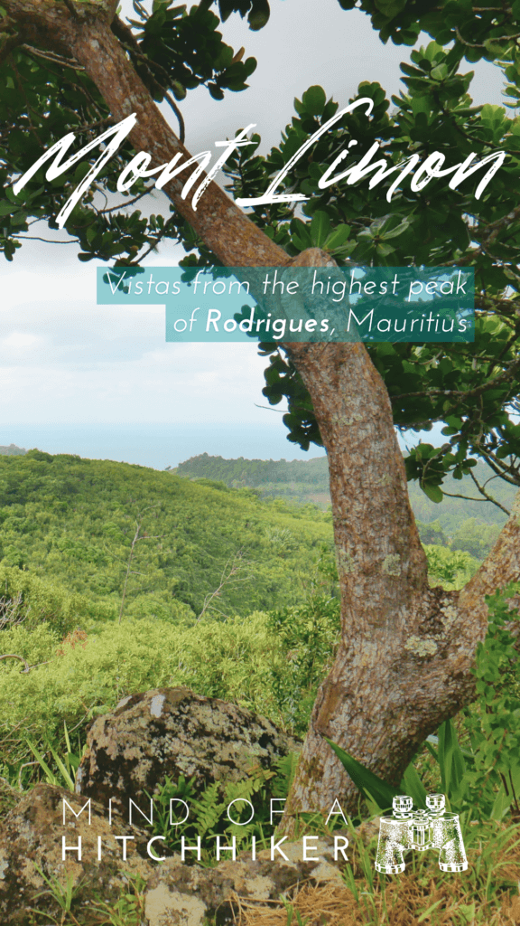 Strolling up Mont Limon, the Highest Peak of Rodrigues • Mind of a ...