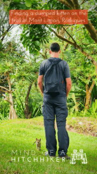 Dumped Kitten at Mont Limon + Limon Confit Rescue Story • Mind of a ...