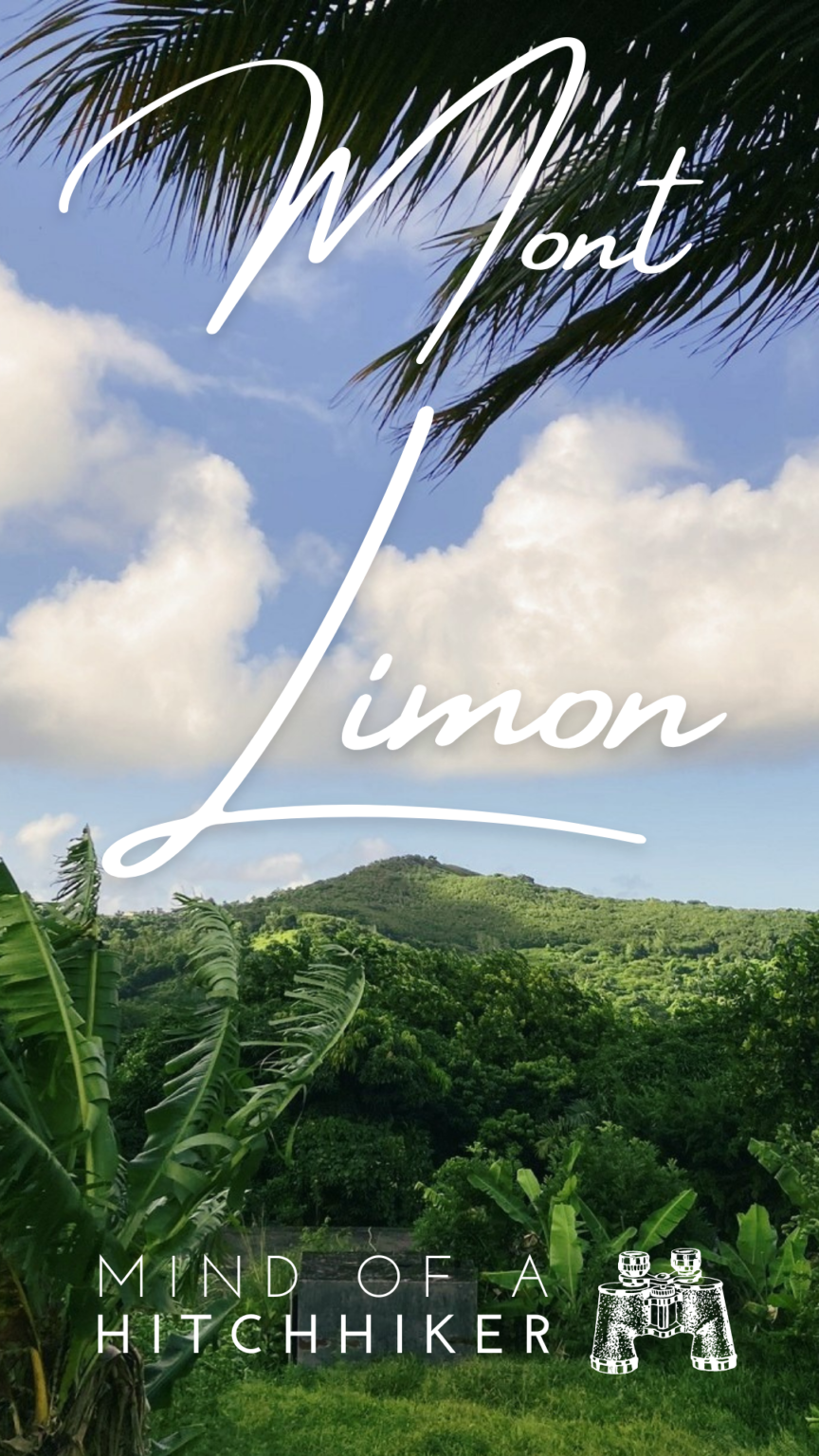Strolling up Mont Limon, the Highest Peak of Rodrigues • Mind of a ...