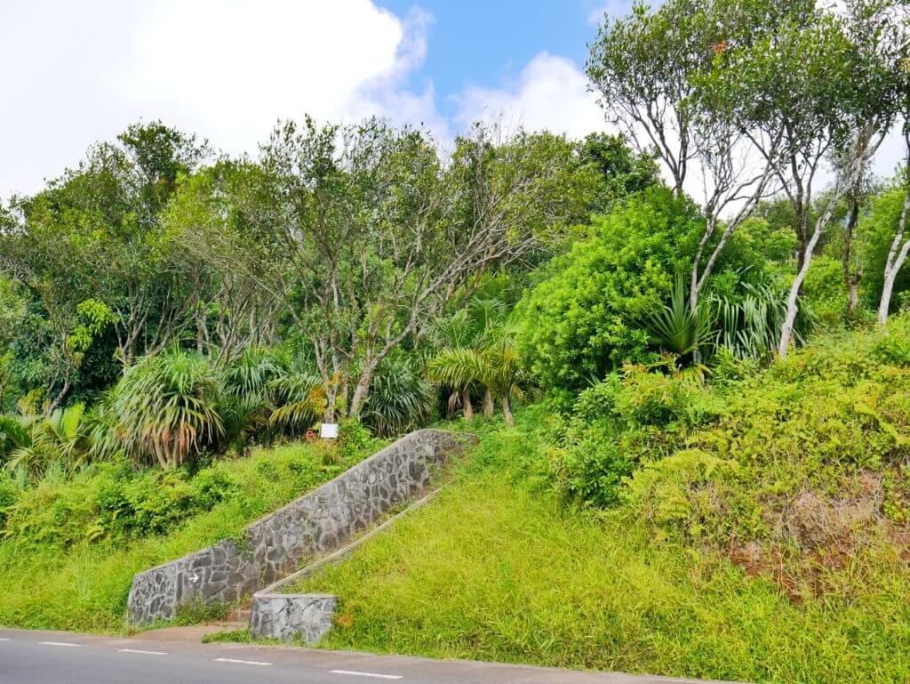 Strolling up Mont Limon, the Highest Peak of Rodrigues • Mind of a ...