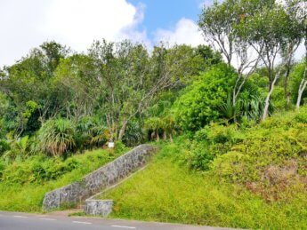 Strolling up Mont Limon, the Highest Peak of Rodrigues • Mind of a ...