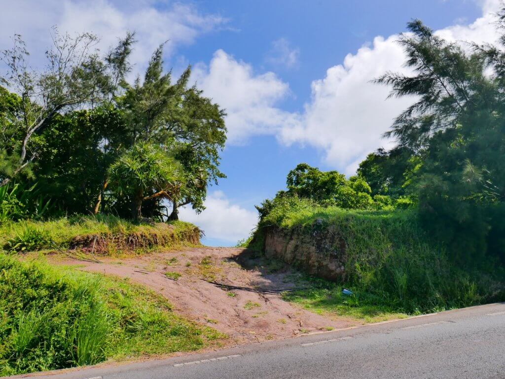 Strolling up Mont Limon, the Highest Peak of Rodrigues • Mind of a ...