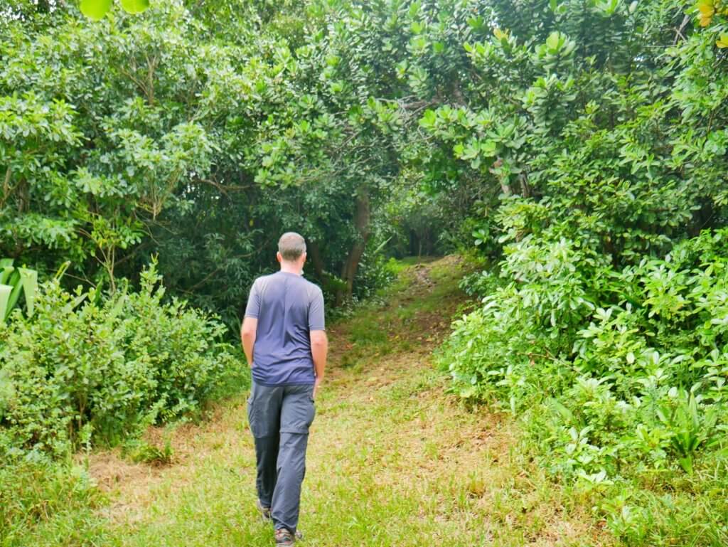 Strolling up Mont Limon, the Highest Peak of Rodrigues • Mind of a ...
