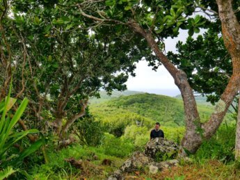 Strolling up Mont Limon, the Highest Peak of Rodrigues • Mind of a ...