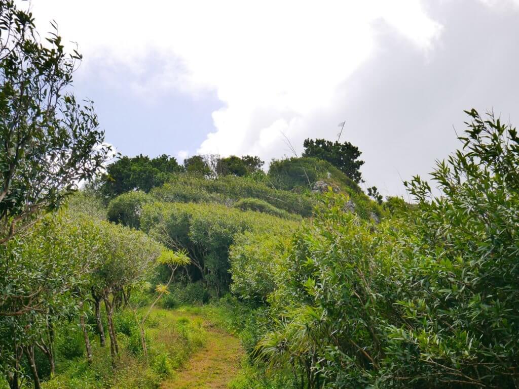 Strolling up Mont Limon, the Highest Peak of Rodrigues • Mind of a ...