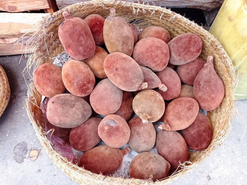 Morondava: Avenue of the Baobabs + Baobab Fruit Experience • Mind of a ...