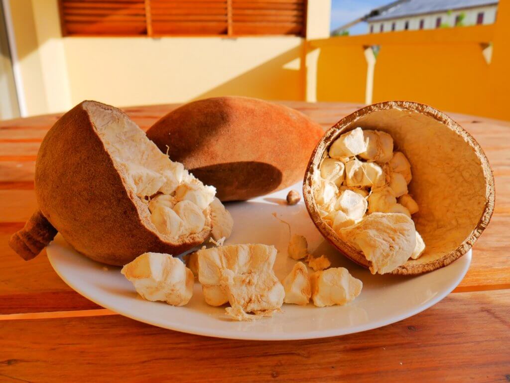 Morondava: Avenue of the Baobabs + Baobab Fruit Experience • Mind of a ...