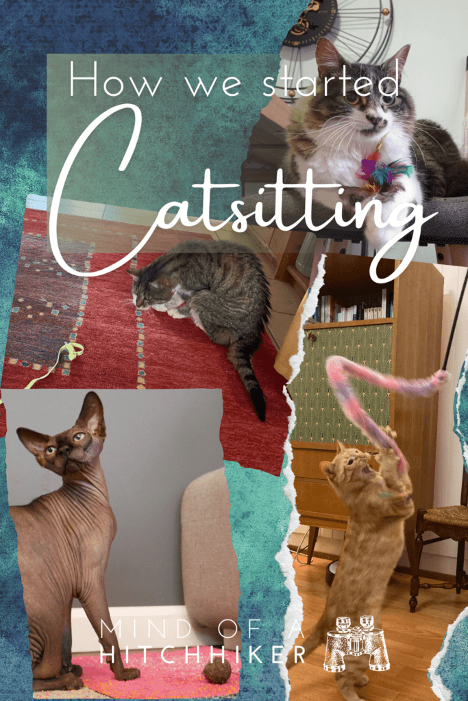 Why We Started Catsitting + How to Start Housesitting to Travel • Mind ...