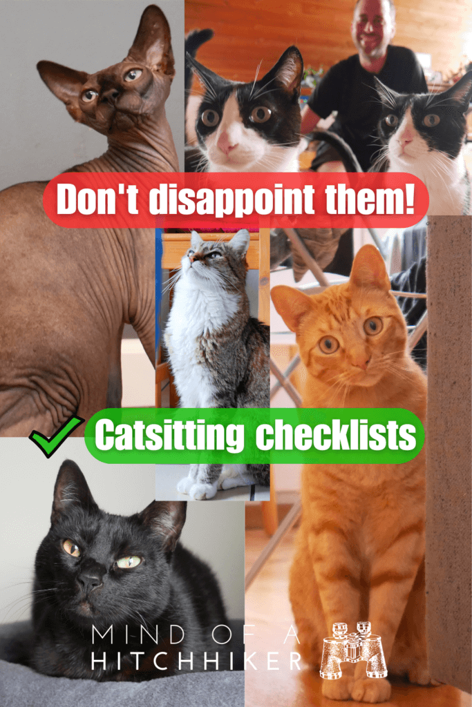 Housesitting Checklists: Before, During, and After Catsitting • Mind of ...