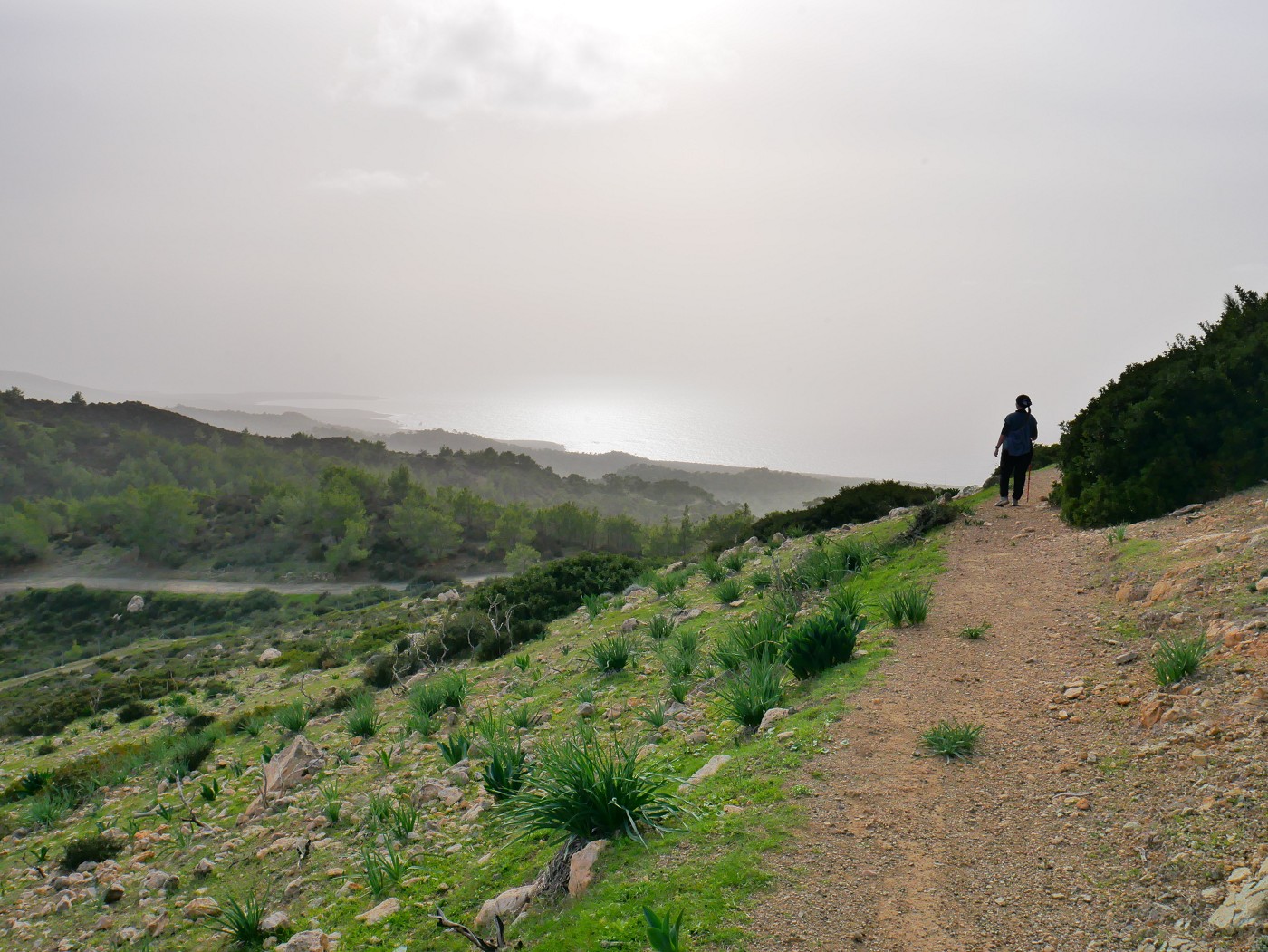 Drouseia to Neo Chorio, Revisiting Akamas – E4 Cyprus Hiking Day 9 ...