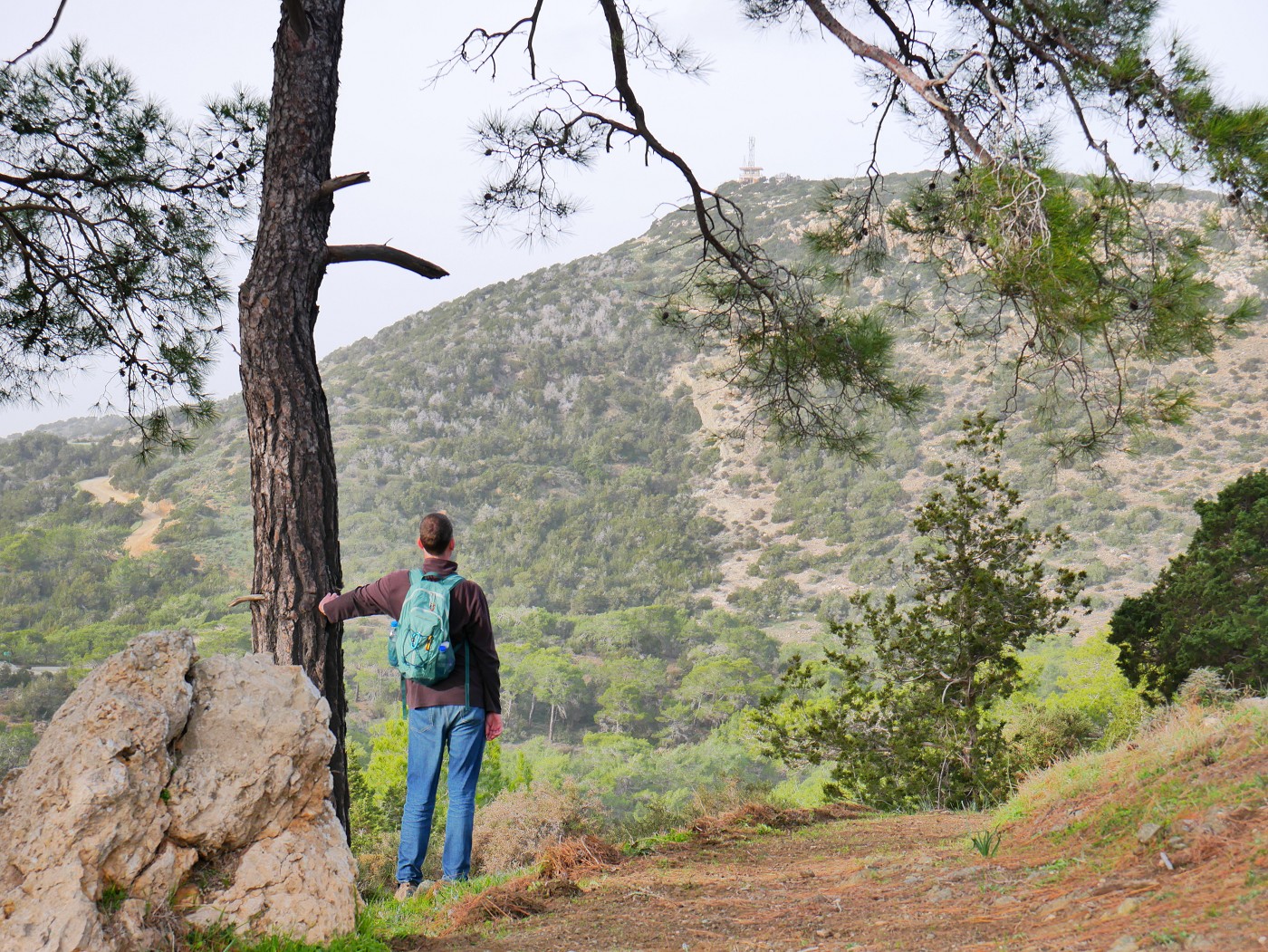 Drouseia to Neo Chorio, Revisiting Akamas – E4 Cyprus Hiking Day 9 ...