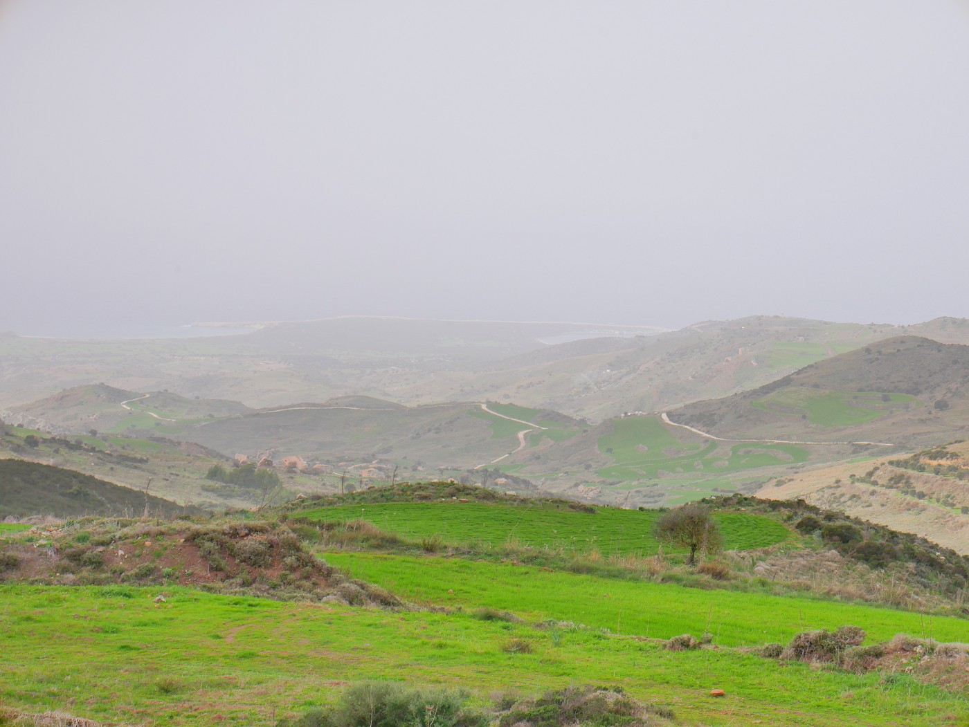 Drouseia to Neo Chorio, Revisiting Akamas – E4 Cyprus Hiking Day 9 ...